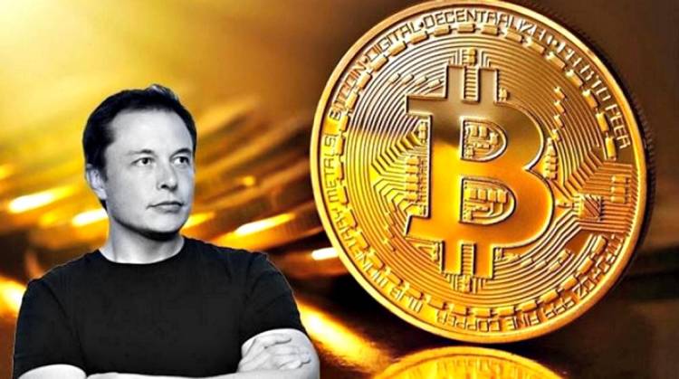 Crypto akan menggantikan Uang Kertas, Elon Musk - Blockchain & Crypto