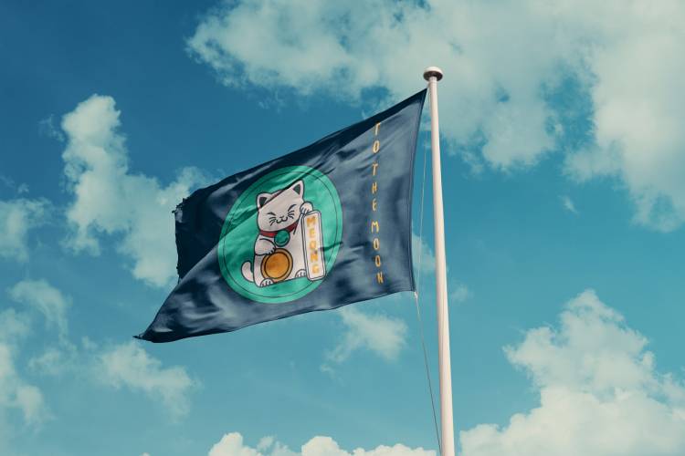 Pengembangan Proyek MEONG TOKEN