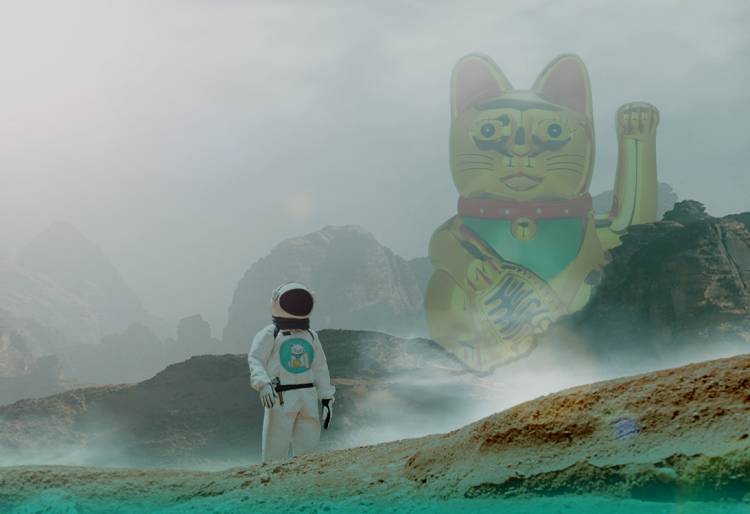 MEONG TOKEN Peduli Lingkungan Dengan MOUNTRASH dan LSM HARI